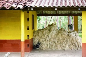 Fique: Colombian Handicrafts from Plants to Products & the People ...