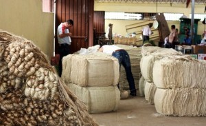 Fique: Colombian Handicrafts from Plants to Products & the People ...