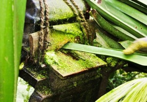 Fique: Colombian Handicrafts from Plants to Products & the People ...