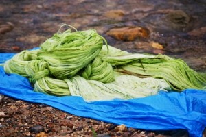 Fique: Colombian Handicrafts from Plants to Products & the People ...