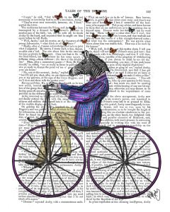 Artist Interview: Kelly Stevens