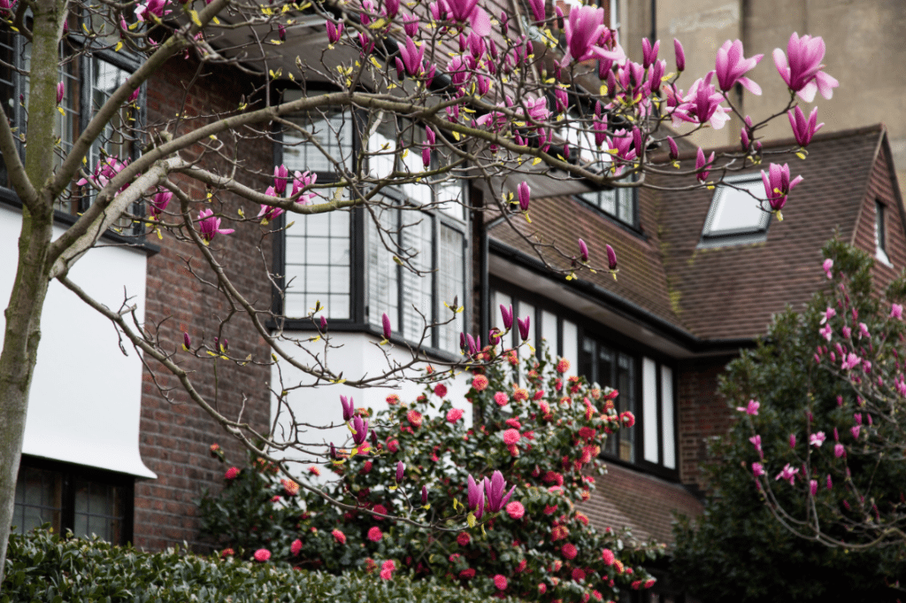 Colours & Character of Chelsea, London